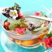 Green Tea Slimming Recipe