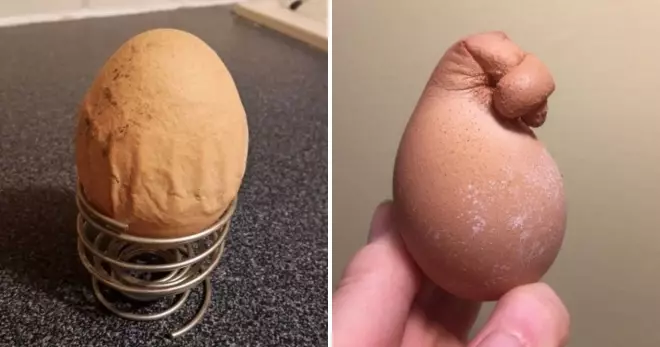 अंडींचे 20 फोटो जे प्रामाणिक आश्चर्यचकित करतात