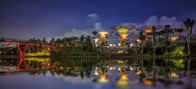 Vườn tại vịnh ở Singapore