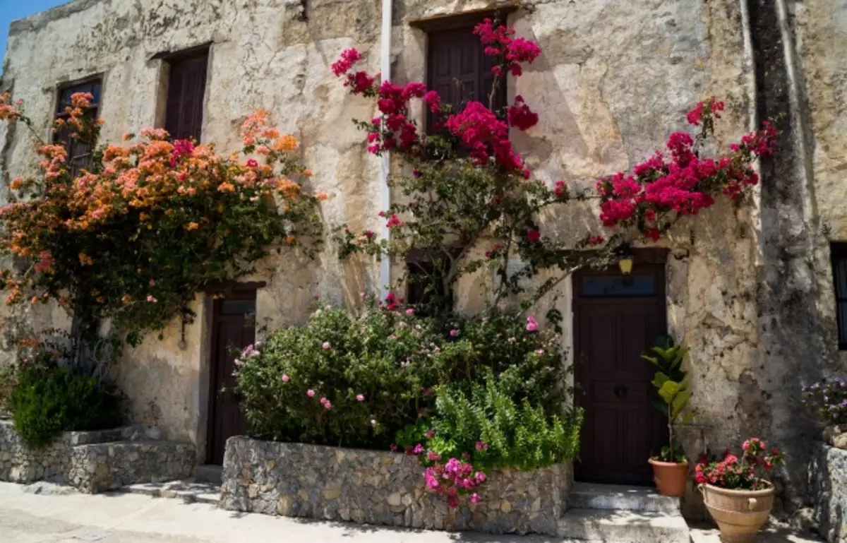 El territori de les flors temple decorar i arbres