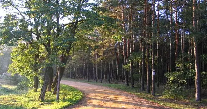 カメラ国立公園