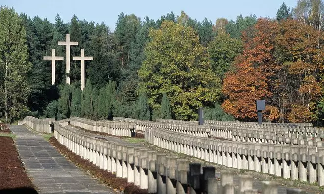 Kamera milli seýilgähinde Palmy conetery