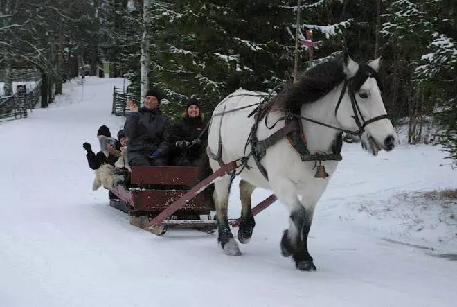 Забавы ў Ямтли