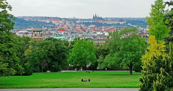 Gardens Rigens.