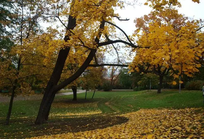 Աշունը Riigian Gardens- ում