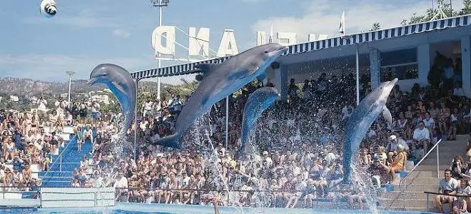 Marinelend, Dolphinarium Marinelend - Мајорка 64378_1