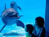 Marinelend, Dolphinarium Marinelend - Mallorca 64378_3