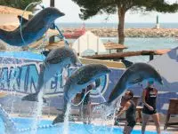 Marinelend, Dolphinarium Marinelend - Mallorca 64378_4