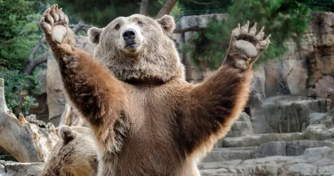 Zoológico en Toronto