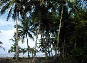 Pantai Taman Negara