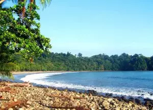 Pantai di Taman Negara