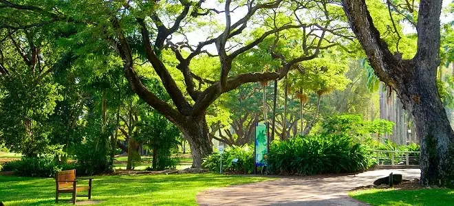 Botanischer Garten von George Brown