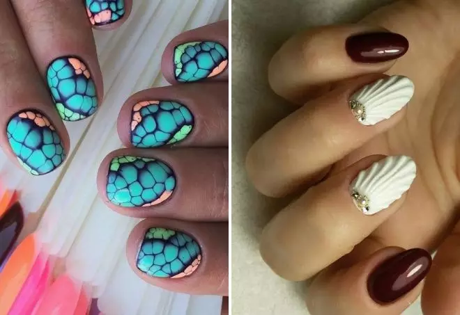 Musim panas yang indah manicure laut 2017 - pada kuku pendek dan panjang, dengan anchor, bintang, kerang, mengeluh, rhinestones, kecerunan, busa, idea manicure dalam gaya marin 66307_9