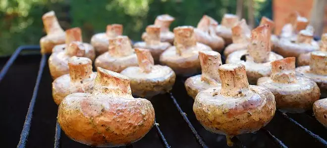 Como champignons marinhas para kebabs em soja, creme de leite, limão e molho acético? 6864_12