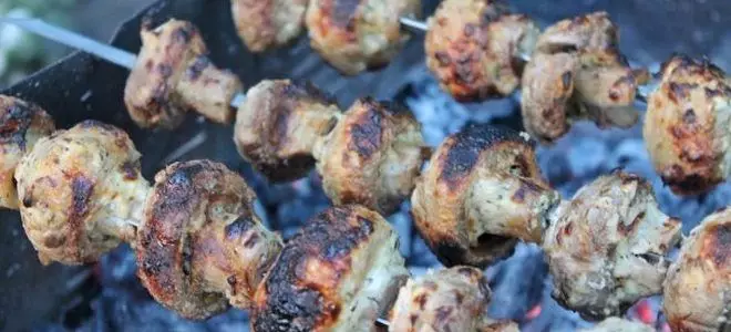 Como champignons marinhas para kebabs em soja, creme de leite, limão e molho acético? 6864_2