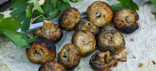 Como champignons marinhas para kebabs em soja, creme de leite, limão e molho acético? 6864_3