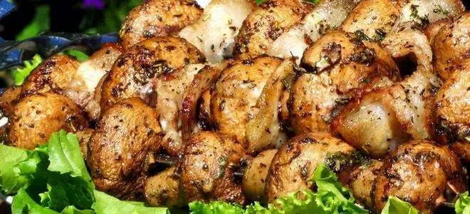 Como champignons marinhas para kebabs em soja, creme de leite, limão e molho acético? 6864_9