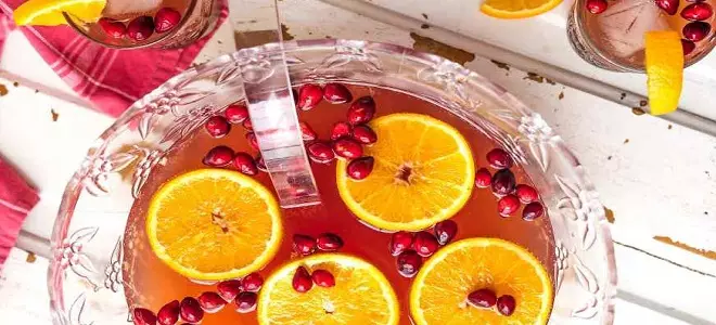 Orange Punch - Receita