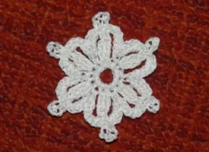 I-Snowflake Photo 6.