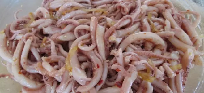 Como cozinhar tentáculos Squid em coreano