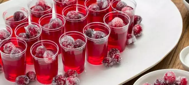 Cranberry կոմպոտ սառեցված բաղադրատոմսը