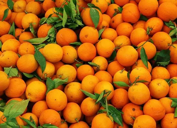 Mandarins - فائدہ اور نقصان