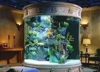 Decor fir Aquarium13.