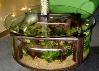 Դեկոր Aquarium14: