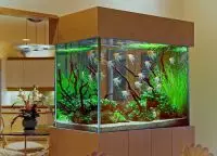 Decor fir Aquarium15