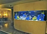 Aquarium16の装飾。