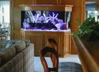 ديكور لaquarium18.