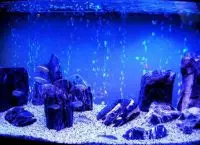 ديكور لaquarium2