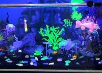 Decor fir Aquarium3.