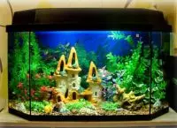 ديكور لaquarium4