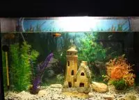 Decor per Aquarium5.