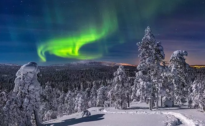 Lapland sarkvidéki debényei