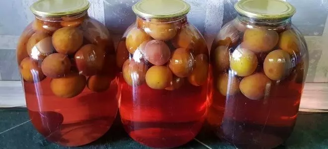 Compote ຈາກຫມາກໂປມແລະ plum ສໍາລັບລະດູຫນາວ - ສູດອາຫານທີ່ມີ viburnum, apricots, pears 7586_3