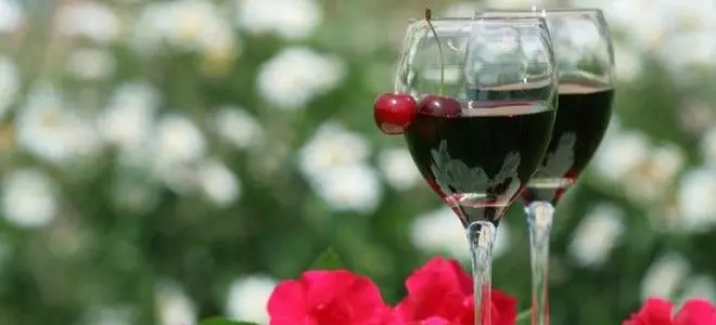 Wine daga cherries tare da kasusuwa - girke-girke tare da yisti, vodka, ba tare da sukari da ruwa ba 7620_6