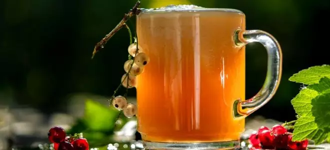 KVASS មកពីនំប៉័ងនៅផ្ទះ - រូបមន្តត្រូវបាន fristed, ផឹកជាមួយដំបែ, ម៉ារ៉ាម៉ាក់និង raisins 7621_13