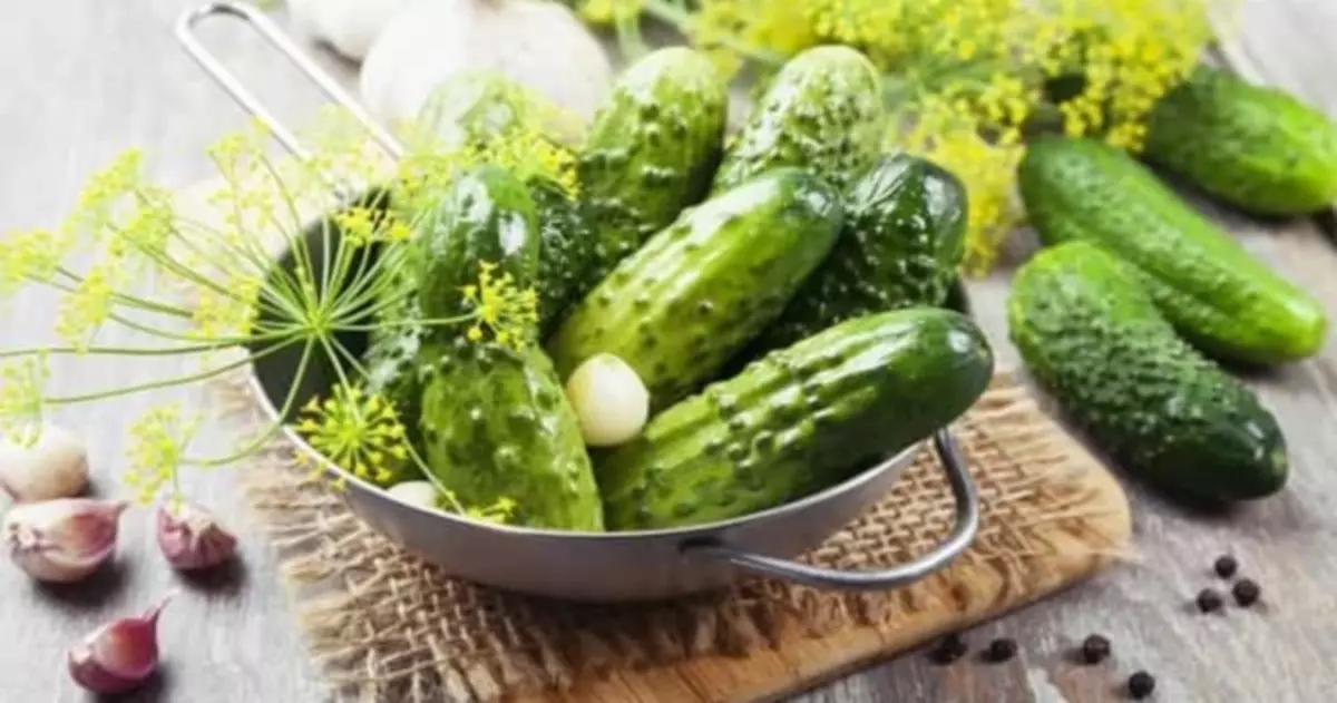 Recipe for crispy minor cucumbers of fast cooking and for the winter