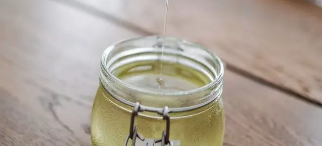 Basil for vinterfrysing, tørking og oppskrifter av sauser, sirup og kompot fra grøntområder 7688_15