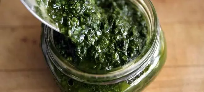 Basil for vinterfrysing, tørking og oppskrifter av sauser, sirup og kompot fra grøntområder 7688_5