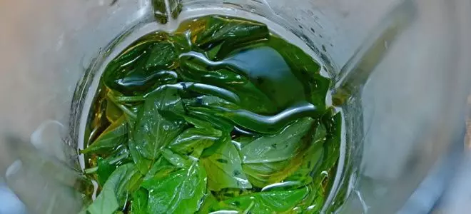 Basil for vinterfrysing, tørking og oppskrifter av sauser, sirup og kompot fra grøntområder 7688_6