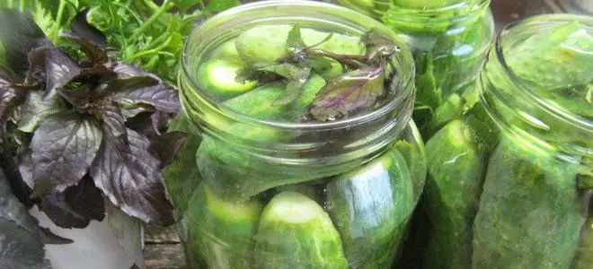 Basil for vinterfrysing, tørking og oppskrifter av sauser, sirup og kompot fra grøntområder 7688_9