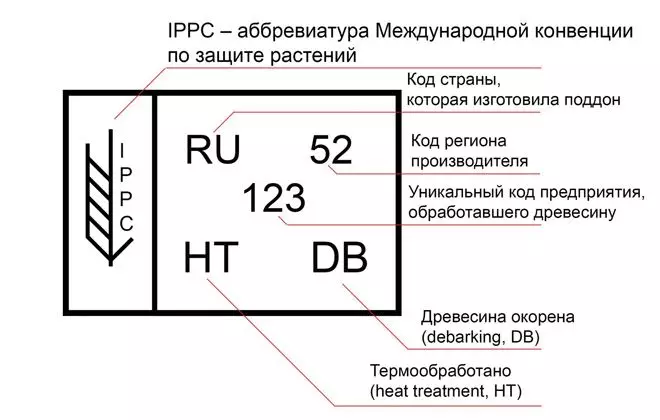 Lalan'ny hazo - habe, fanodinana fahadiovana izay handraisana ny fomba hanaovana azy? 8159_4