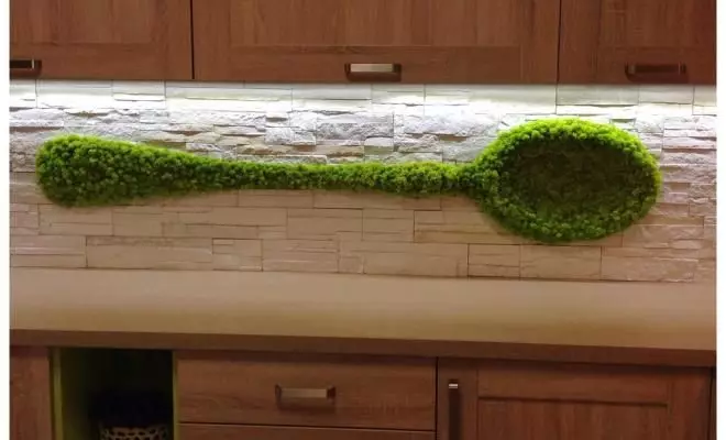 Stabilized Moss - how to fix and care, interesting products, use options in the interior 8175_16
