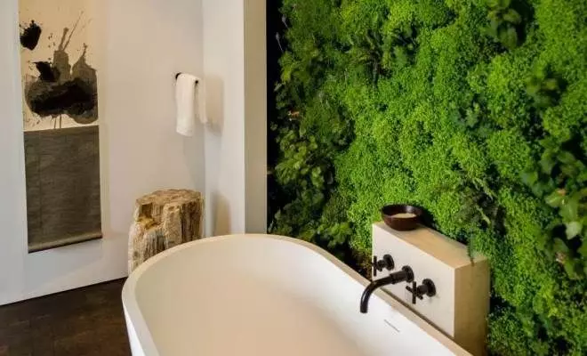Stabilized Moss - how to fix and care, interesting products, use options in the interior 8175_18