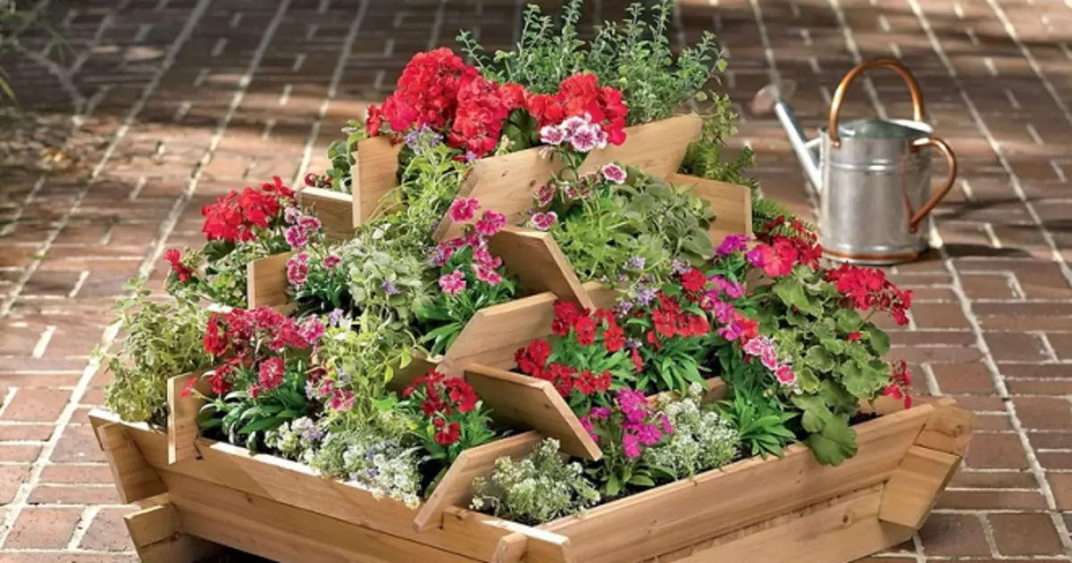 زهرة زهرة سريرا هي أشكال رئيسية، وأنواع من لزعزعة وكيفية ترتيب flowerbed، خيارات غير عادية