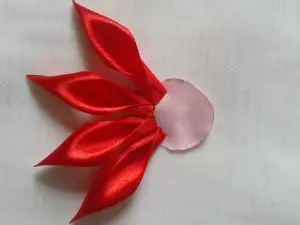 Georgin Kanzashi Master Class 11