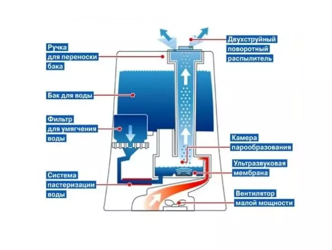 ઍપાર્ટમેન્ટ માટે એર હ્યુમિડિફાયર - શું જરૂરી છે, લાભો, નુકસાન અને ઉપકરણને કેવી રીતે પસંદ કરવું 8676_16